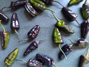 Puma Hot Pepper | Spicy Exchange