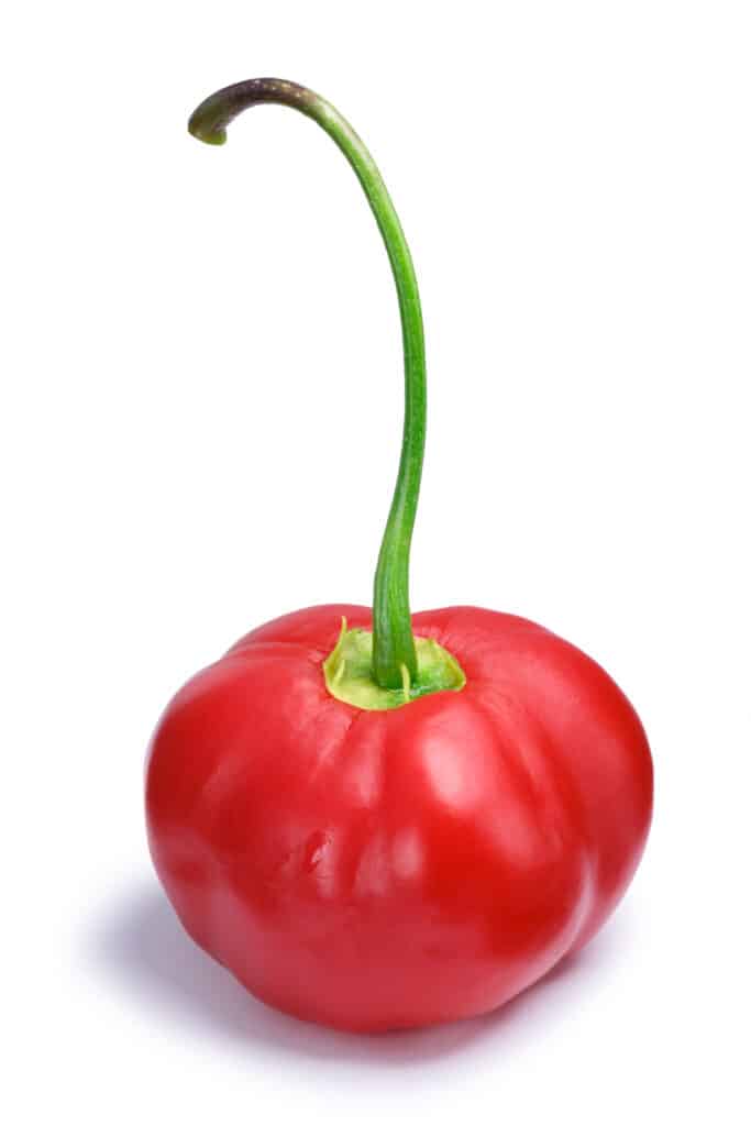 Manzano Peppers (Chile Peron) | Spicy Exchange