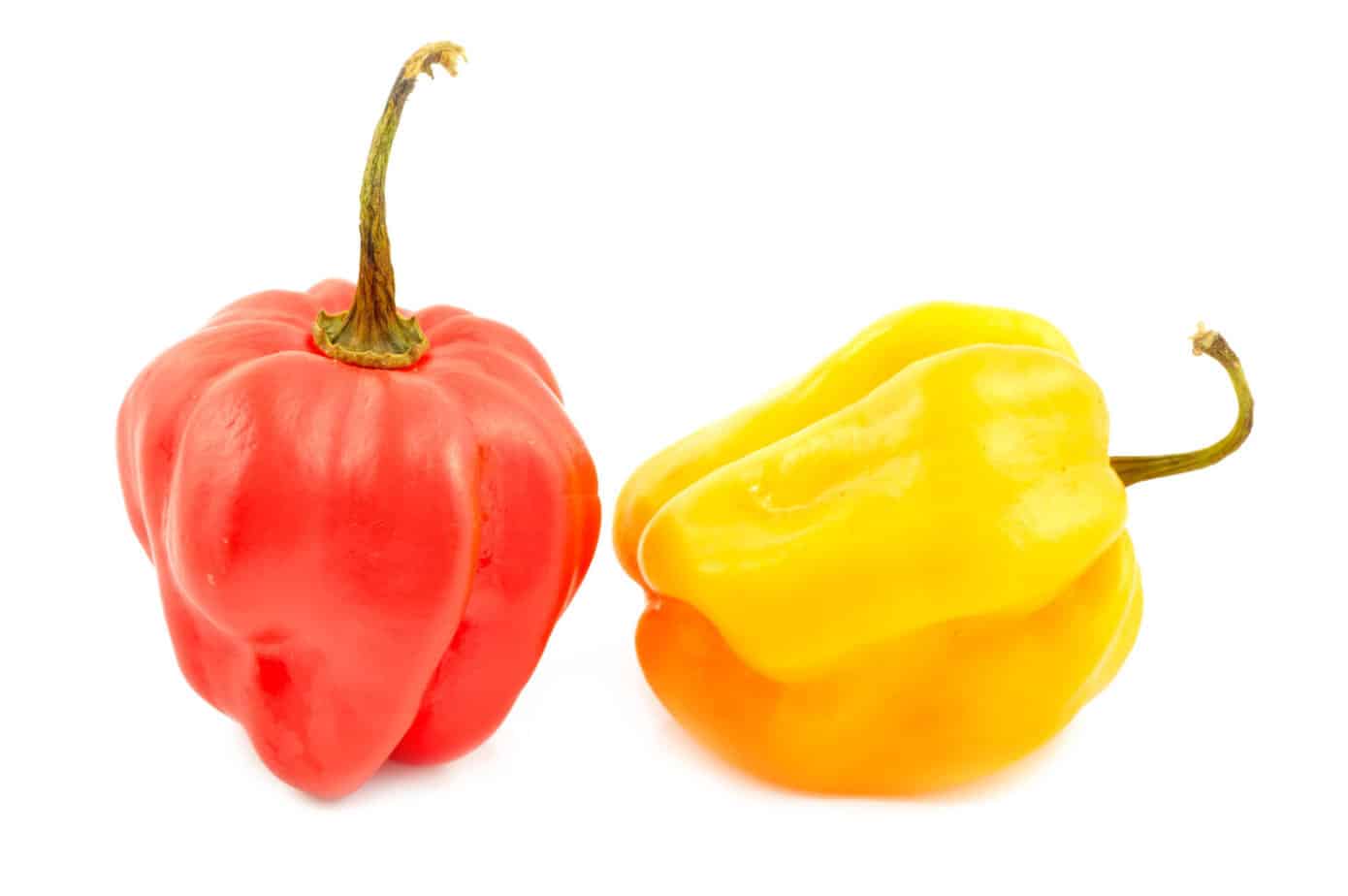 19 Most Popular Types of Red Peppers (From Mild to HOT) | Spicy Exchange
