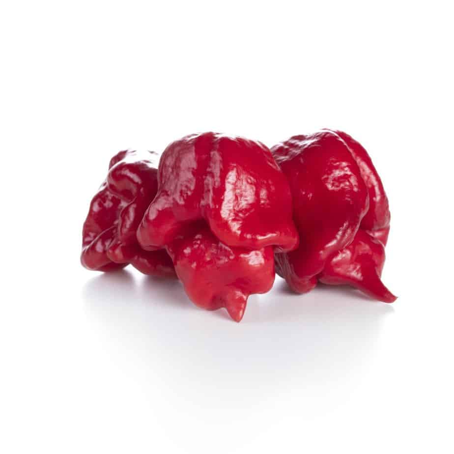 19 most popular types of red peppers (from mild to HOT) | Spicy Exchange