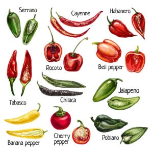 Best soil pH for peppers (+ how to test and amend your soil) | Spicy ...