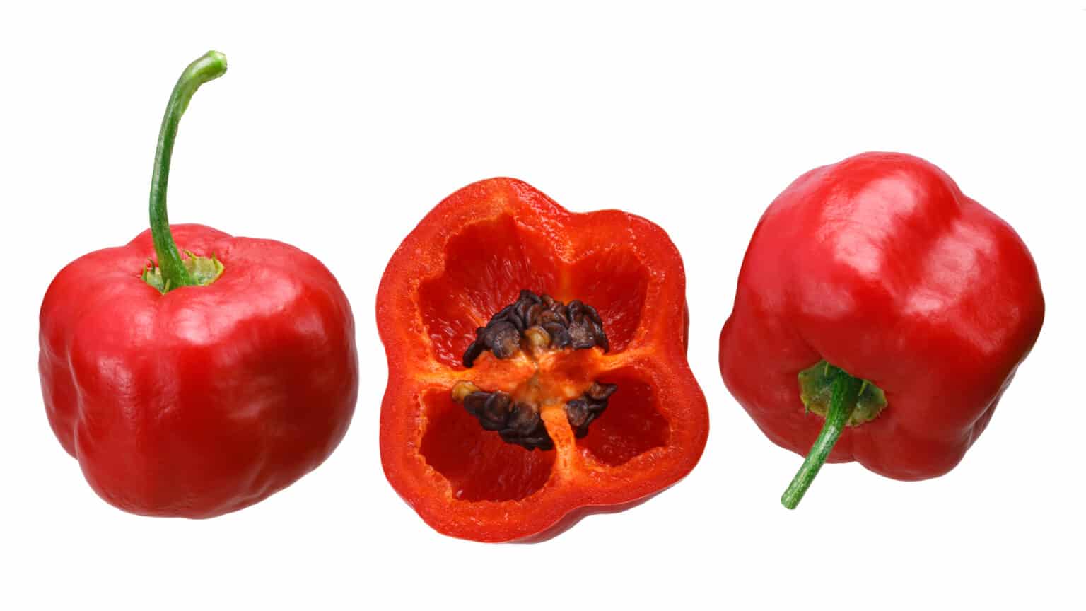 19 Most Popular Types of Red Peppers (From Mild to HOT) | Spicy Exchange