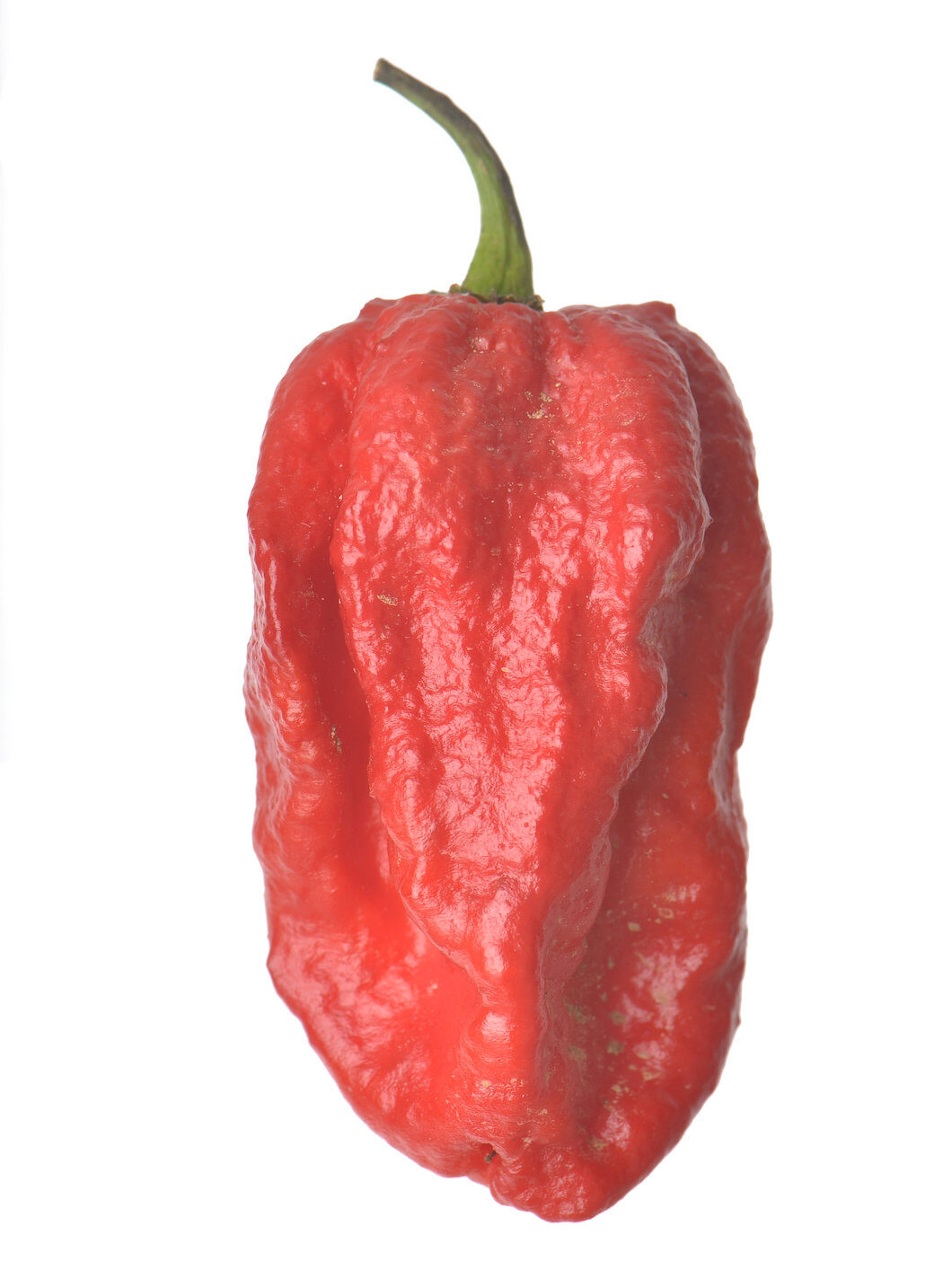 19 Most Popular Types of Red Peppers (From Mild to HOT) | Spicy Exchange