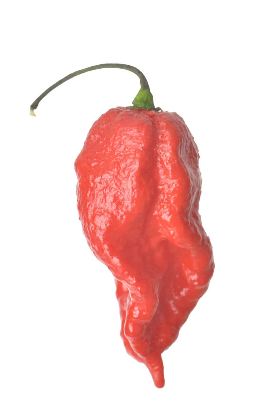 19 Most Popular Types of Red Peppers (From Mild to HOT) | Spicy Exchange