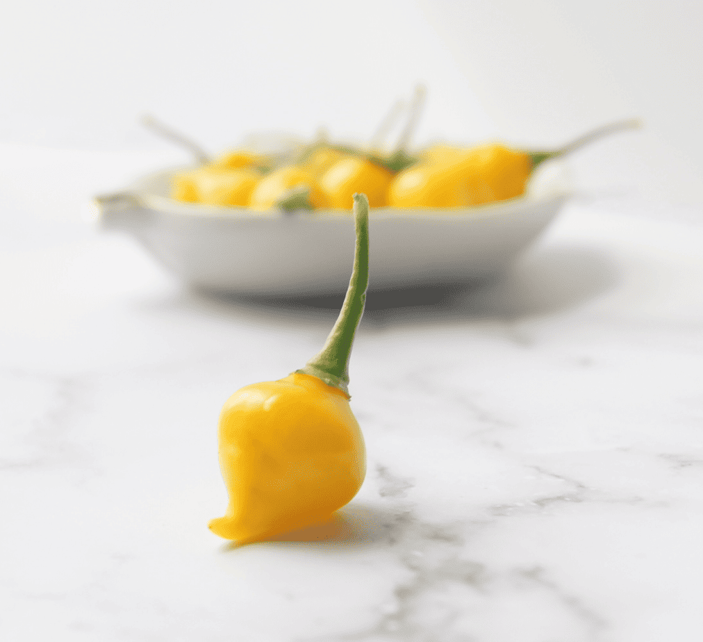 Pimenta Biquinho (Little Beak Peppers) | Spicy Exchange