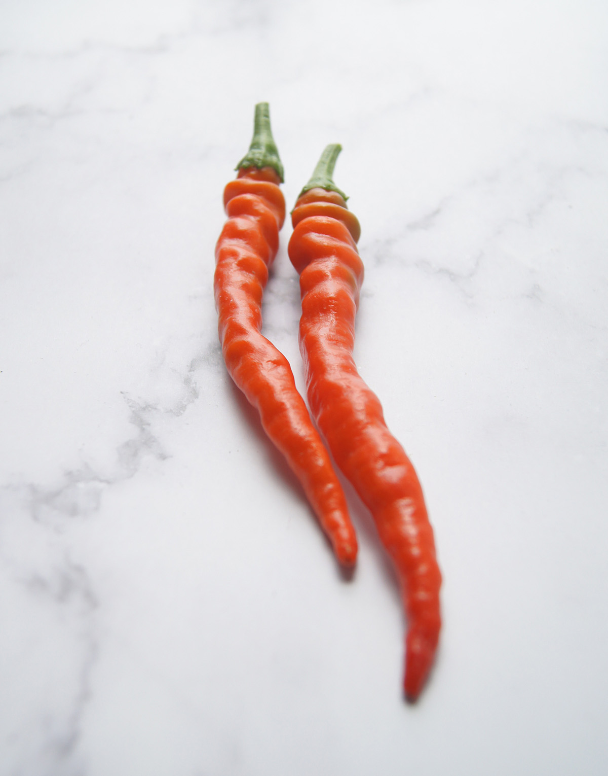 19 Most Popular Types of Red Peppers (From Mild to HOT) | Spicy Exchange