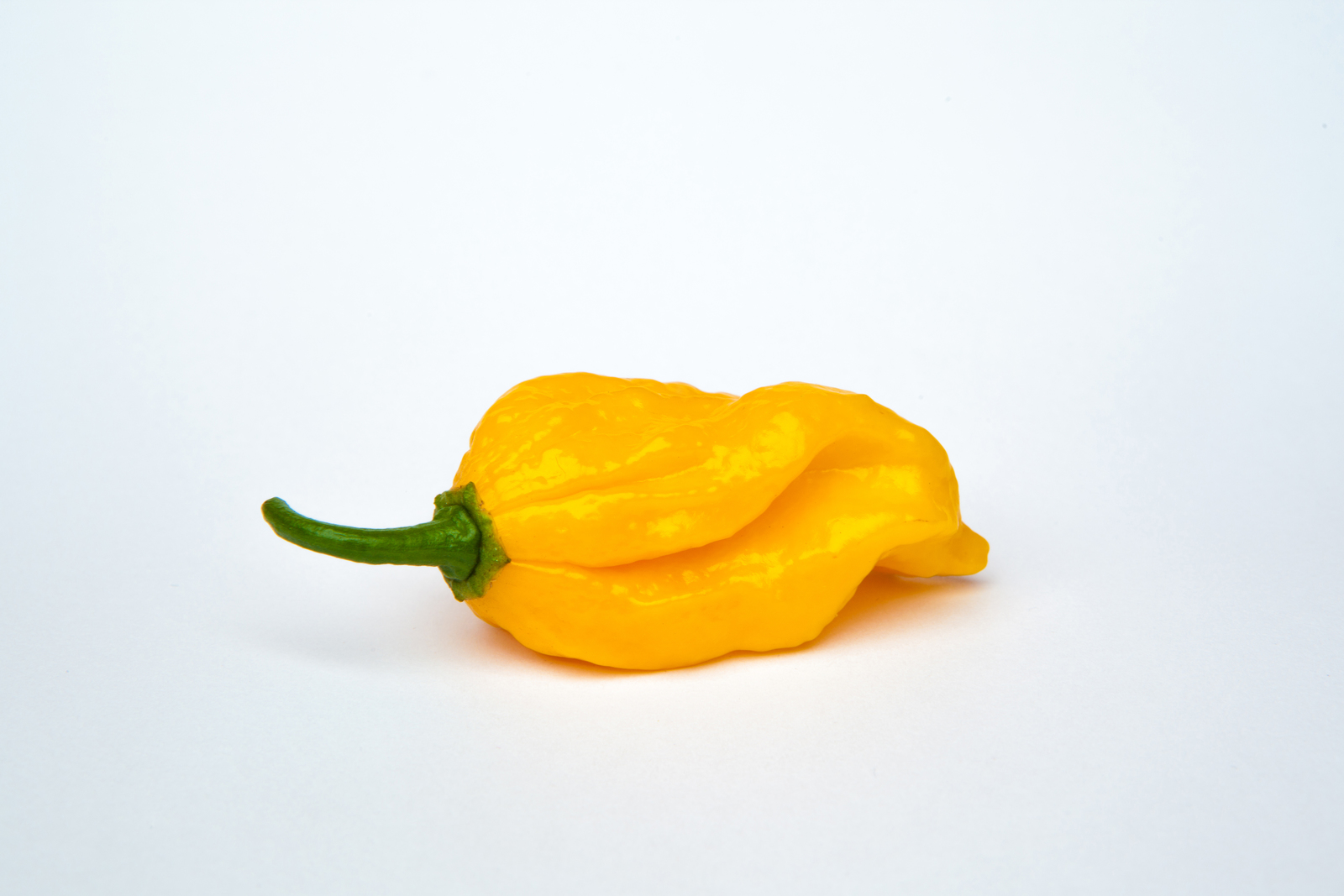 Fatalii peppers: A guide to heat, flavor, and uses | Spicy Exchange