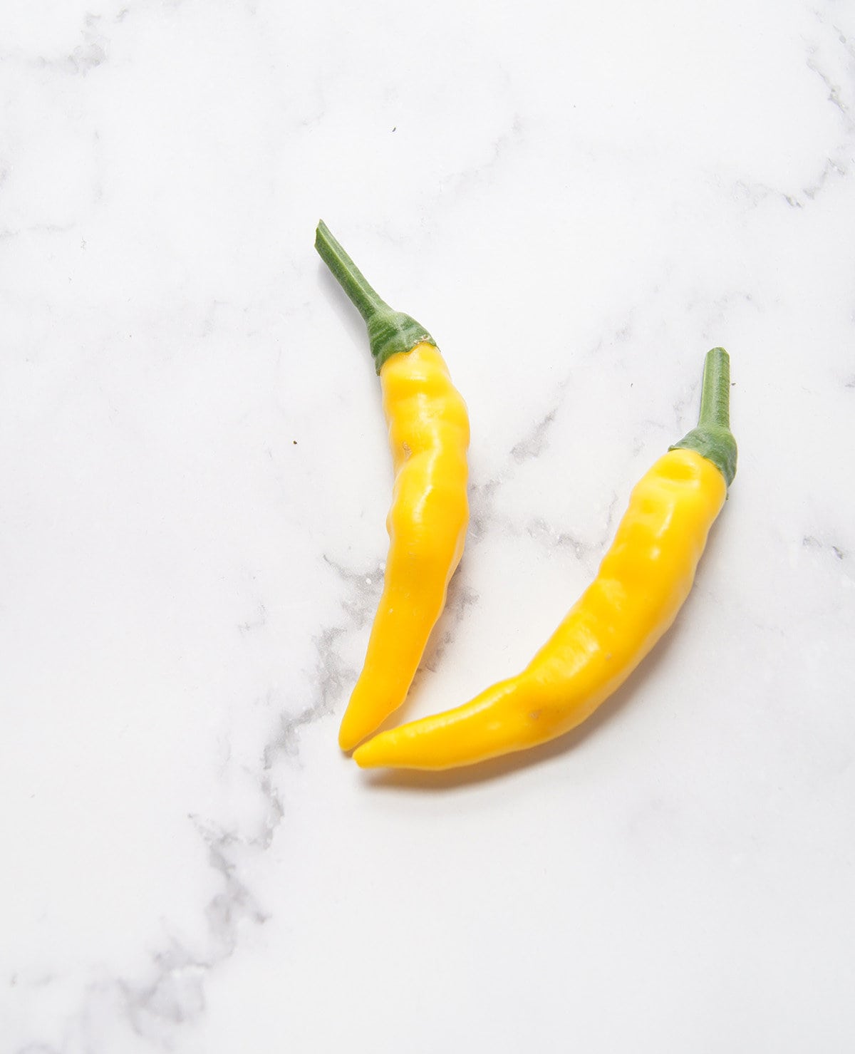 Kristian peppers: A unique Thai chili you should know | Spicy Exchange