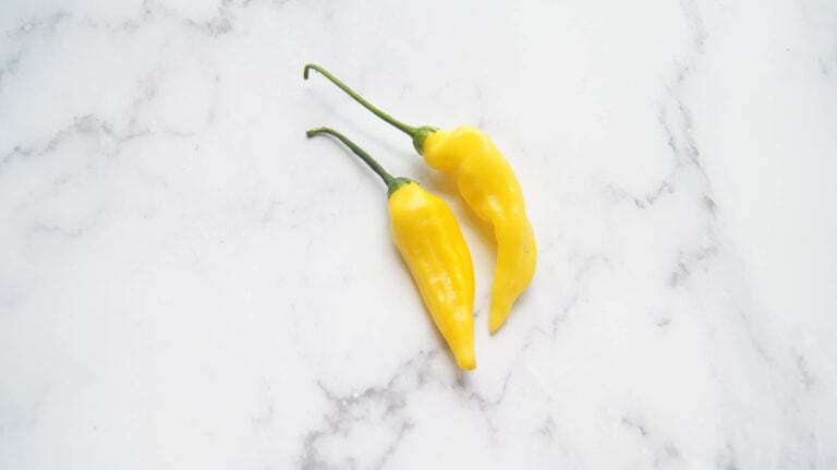 Aji Limo (Lemon Drop Pepper): A Peruvian Favorite | Spicy Exchange
